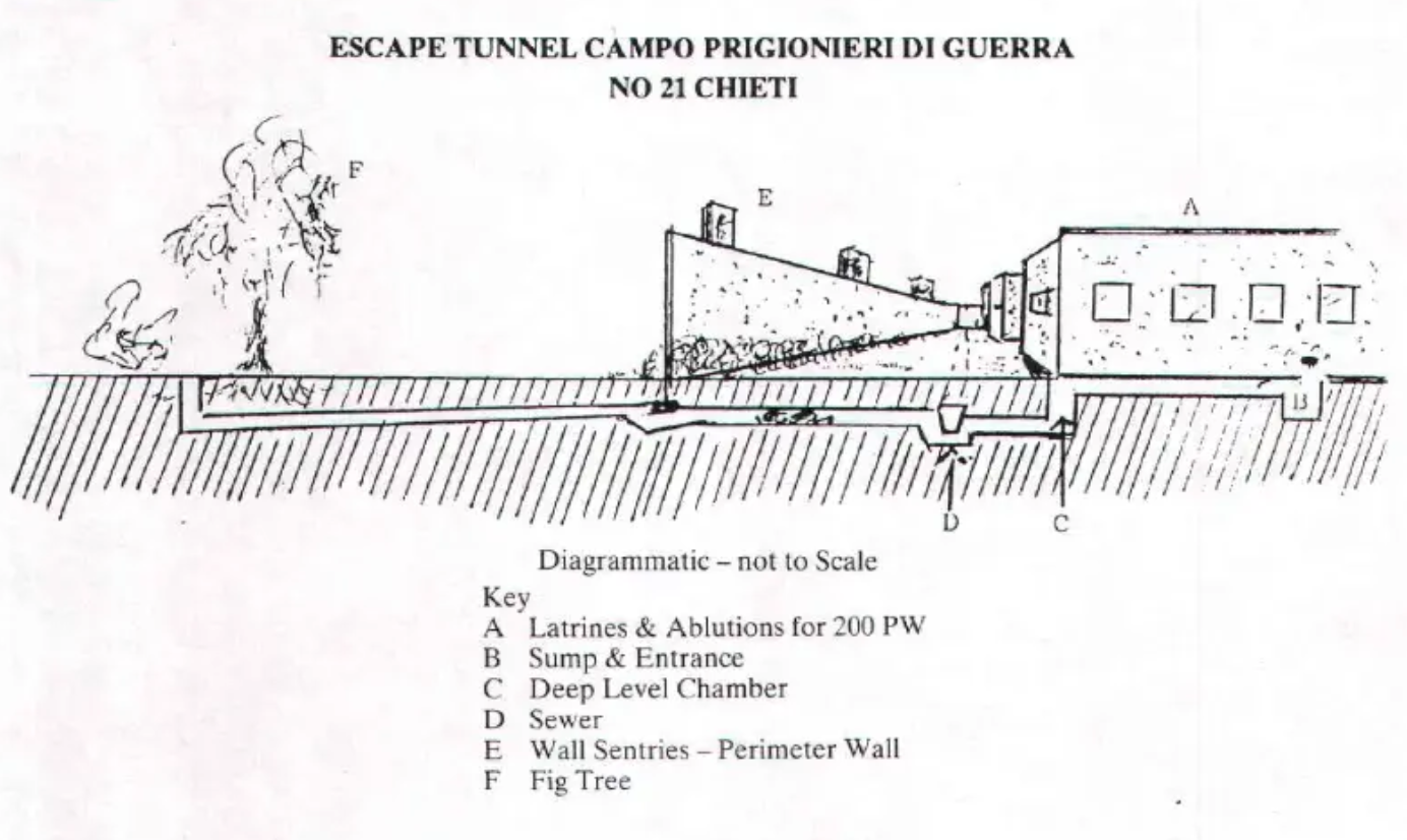 walker brown B – Monte San Martino Trust
