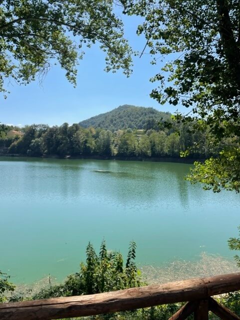 serv 80 8 – Monte San Martino Trust